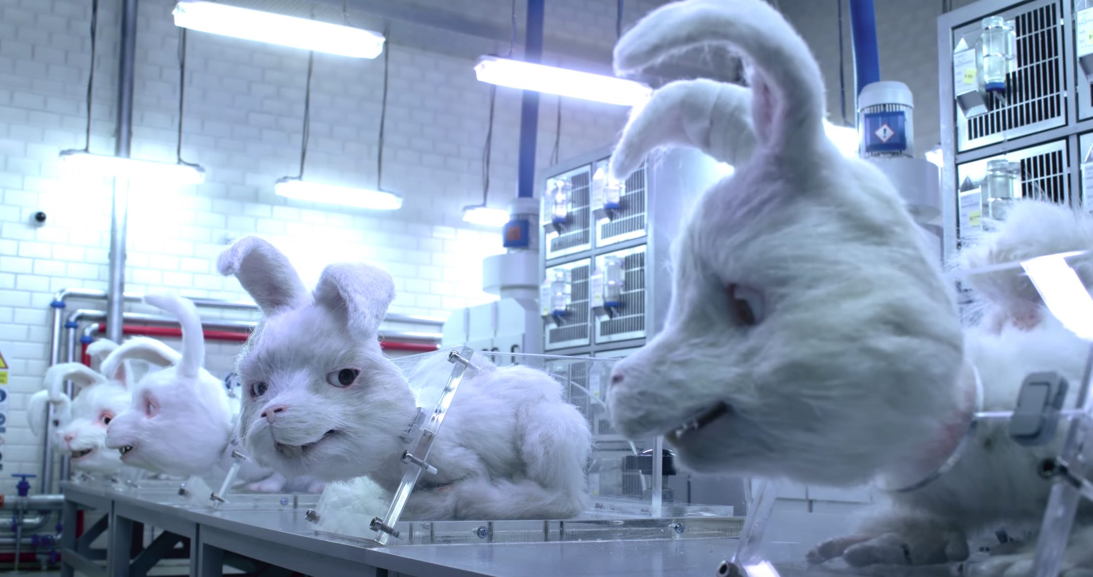 Are Your Cosmetics Cruelty Free Powerful Animated Short Film Shows